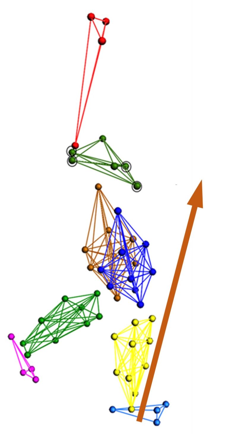 Comprehensive Data Sample « OrthoLoad